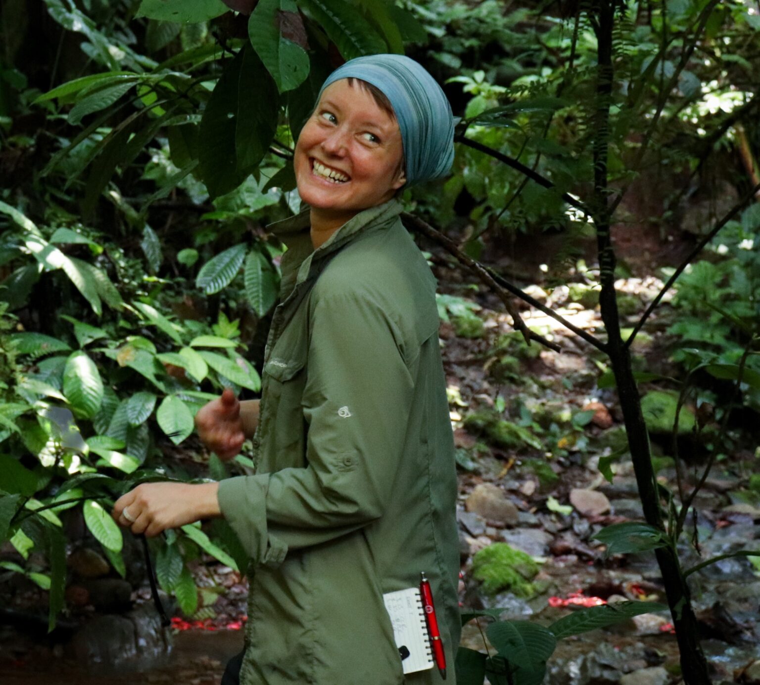 Wildlands Creative – Stories on the entanglement of life within the ...