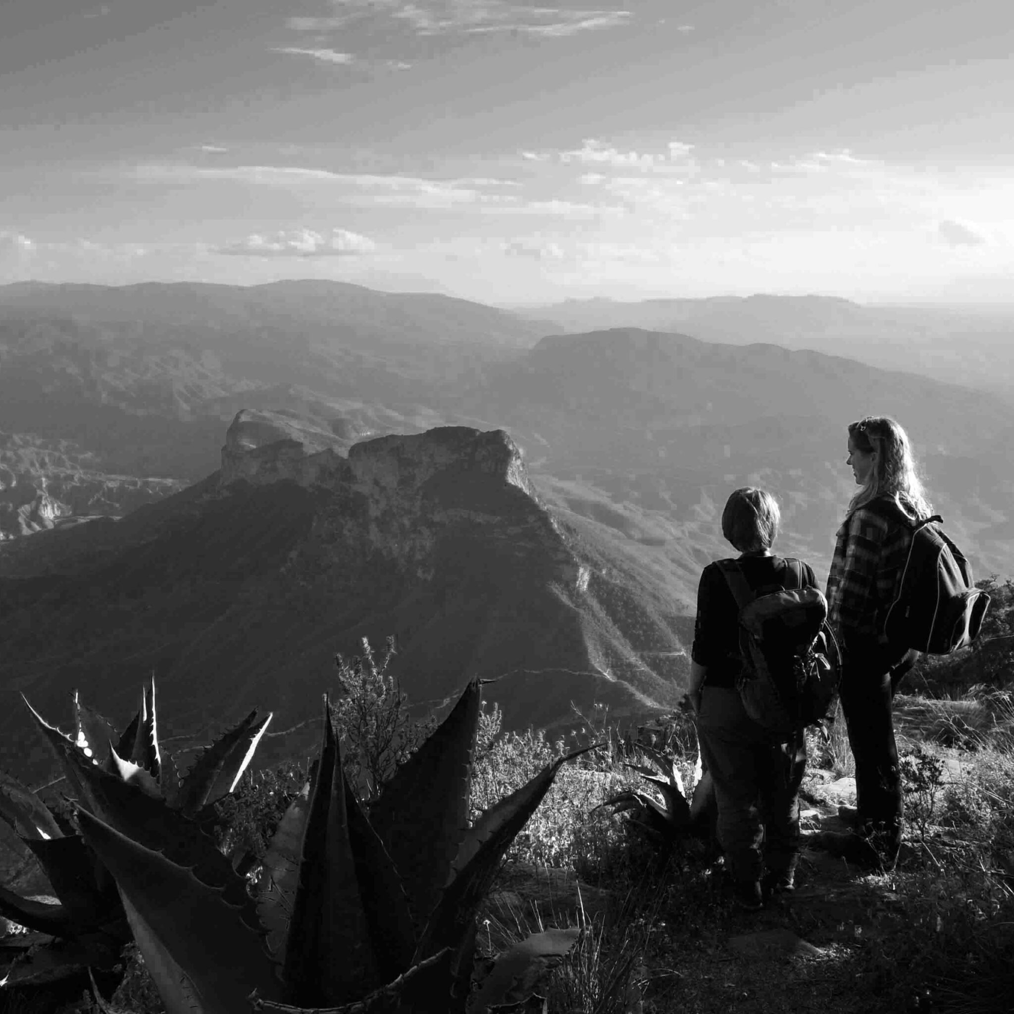 Wildlands Creative – Environmental & social justice stories by Bethan John
